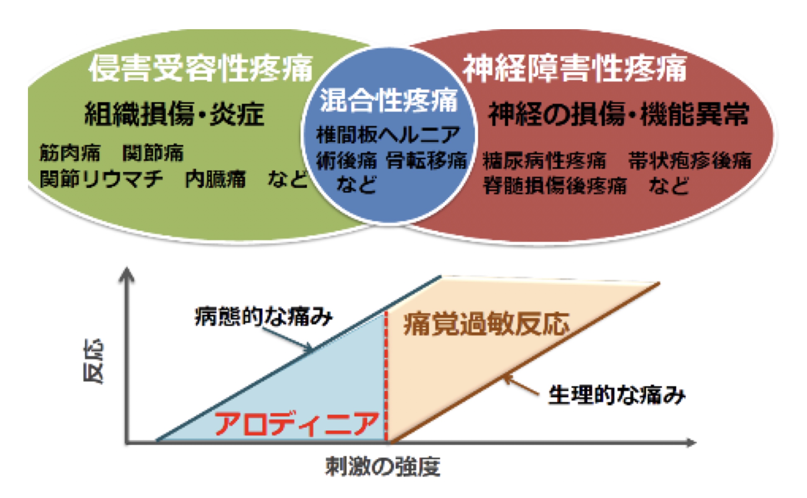 JST START 神戸大学・大阪工業大学による技術シーズの紹介